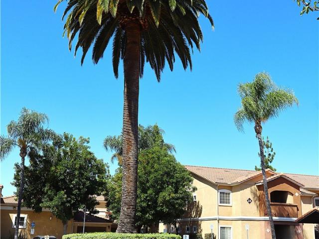 24909 Madison