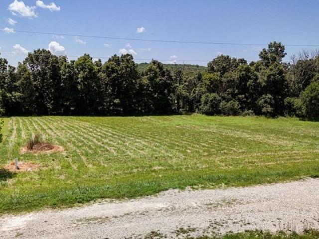 2490 E 549th Rd, Buffalo, MO 65622