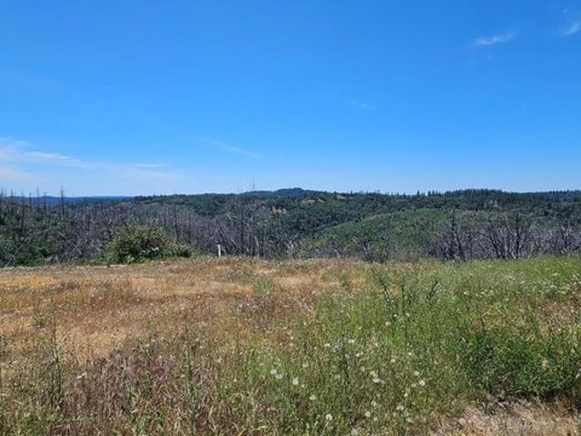 24920 Saddleback Ln, Colfax, CA 95713