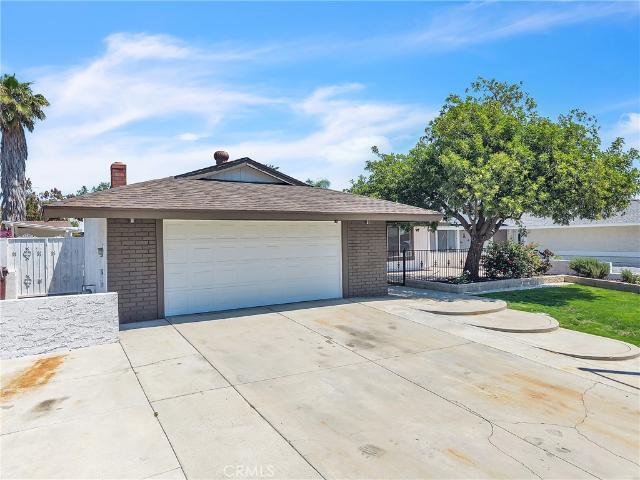 24928 Basswood