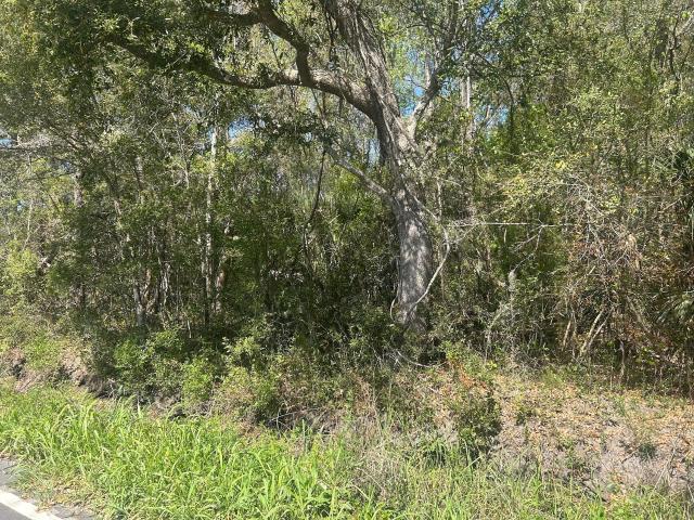 2492 Boy Scout Road