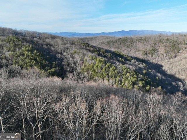 249 Andes Rdg, Ellijay, GA 30536