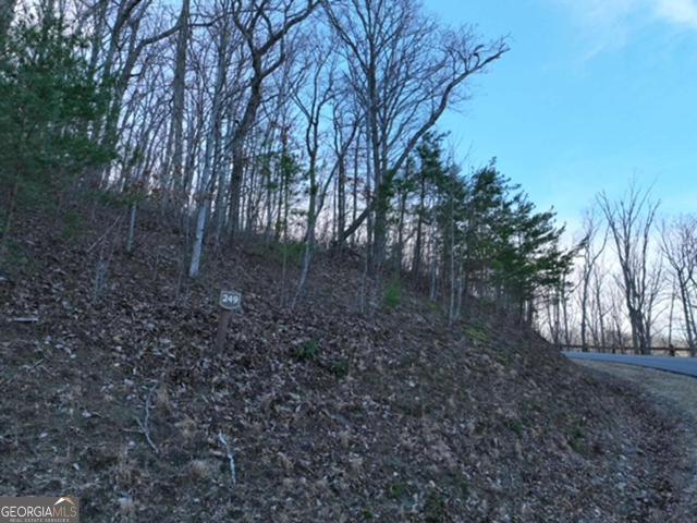 249 Andes Ridge, Talking Rock, GA 30175 | MLS #10787