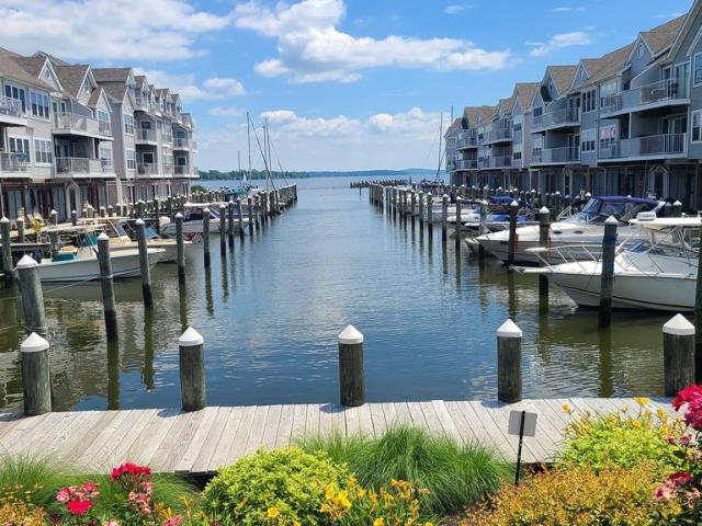 249 D Fountain Street # 249 D