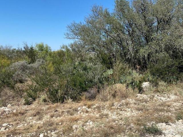 249 Legend Hls, Uvalde, TX 78801 | MLS #1816