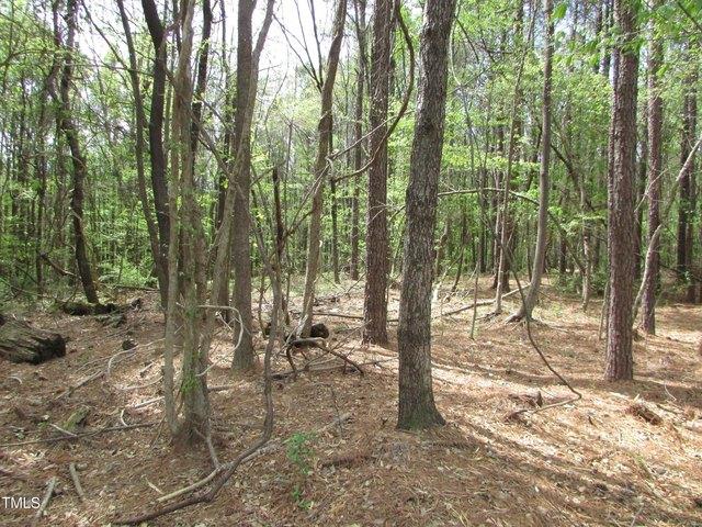 249 Lindo Johnson Rd, Pittsboro, NC 27312