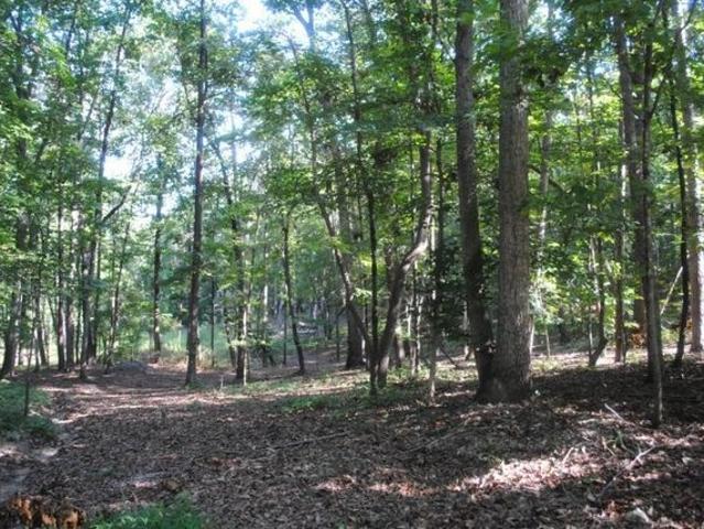249 N Ridge Dr, LaFayette, GA 30728