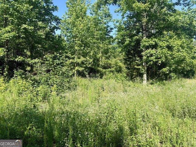 249 Weems Rd, Lyerly, GA 30730