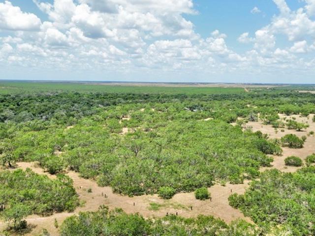 24.52 Acres On Campbell Blvd
