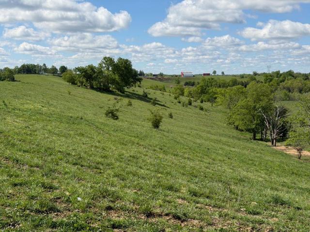 24.81 Ac Chipman Ridge Road