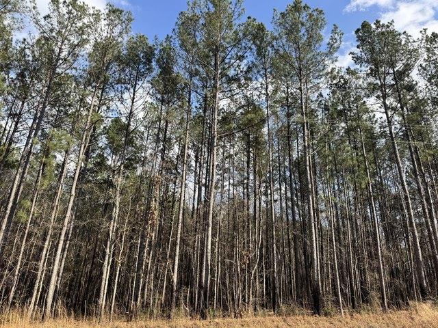 24 88AC Epley, Sumrall, MS 39482