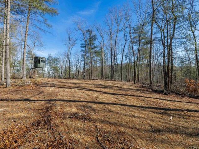 24.97 Ac Stribling Springs Rd, Mount Solon, VA 22843