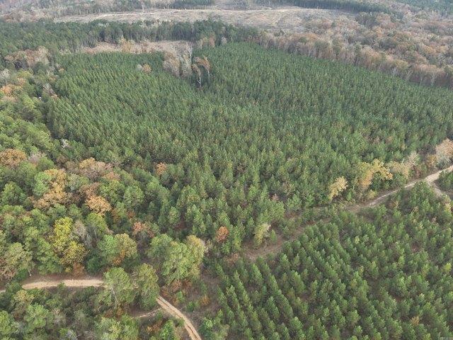 24 11 19 Ouachita County Road 75, Chidester, AR 71726