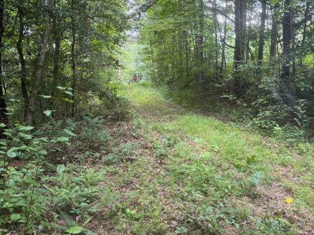 24,25 Camp Creek Estates Drive