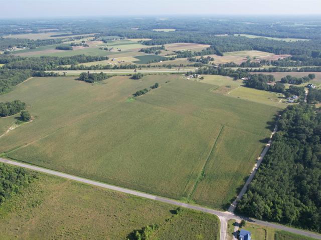 24.36 Acres Newman Swamp Rd