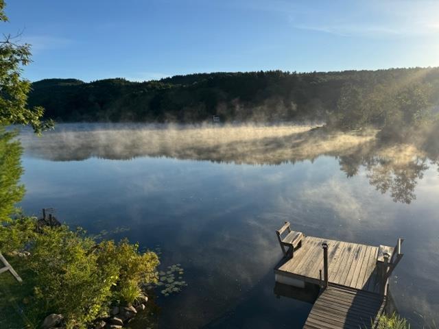 24 W Shore Dr, Tinmouth, VT 05773 | MLS #5072 | Compass