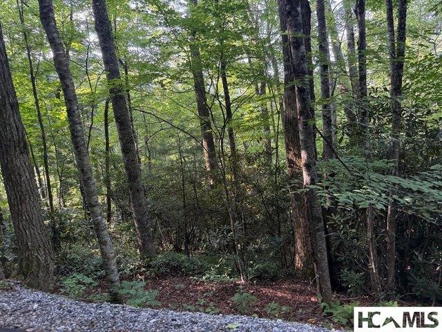 24 Wandering Rdg Lot 24, Glenville, NC 28736