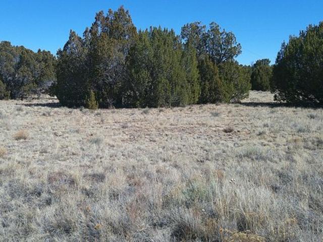 24 Wood Ln, Concho, AZ 85924