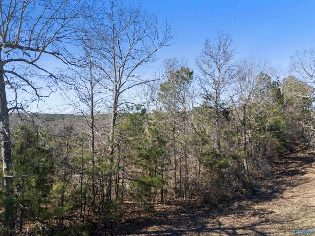 24 Acres Blanton Road