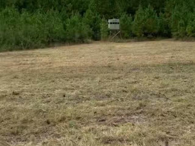 24 ACRES SPEARS ROAD, WESTVILLE, FL 32464 Vacant Land For Sale.