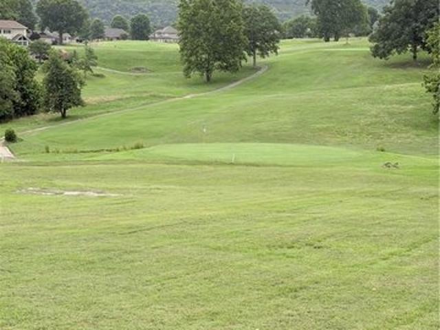 24 Appaloosa Dr Lot 8, Holiday Island, AR 72631