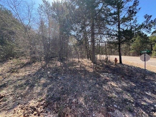 24 Arapahoe Dr Lot 1, Holiday Island, AR 72631