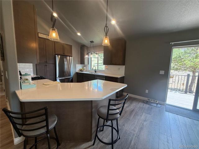 24 Bighorn Cir, Florissant, CO 80816 | MLS #7285