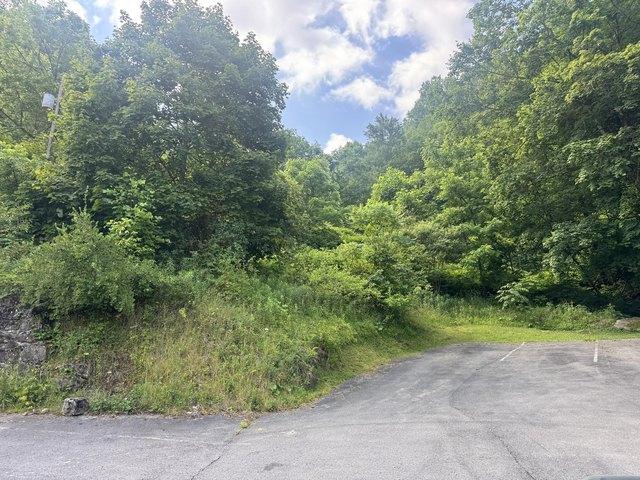 24 Boggs Ave, Richwood, WV 26261