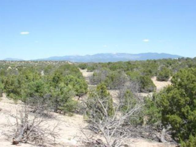 24 Conejo Trail