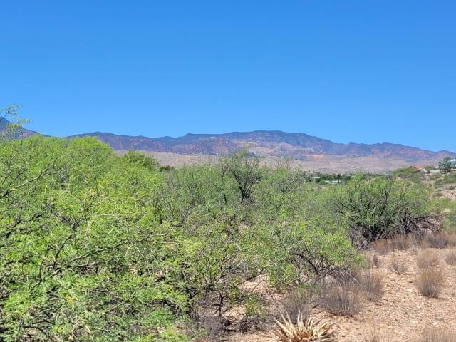 24 Copper St, Clarkdale, AZ 86324 | MLS #6939 | Compass