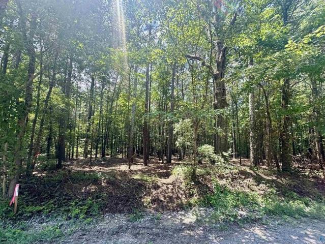 24 County Road 1011 Units 24 & 29, Centre, AL 35960