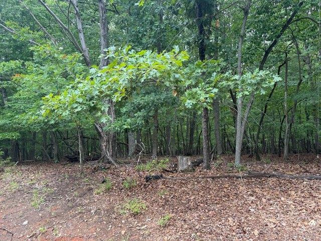 24 Dr Lot Lee, Huddleston, VA 24104