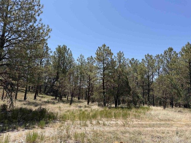 24 Edgewood Rd, Timberon, NM 88350