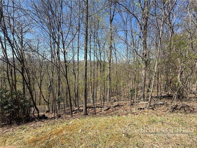 24 Elk Mountain Loop, Newland, NC 28657