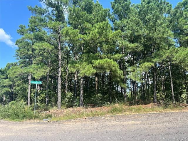 24 Evergreen Vista Loop