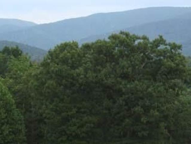 24 Greystone Trce, Ellijay, GA 30536 | MLS #5579 | Compass