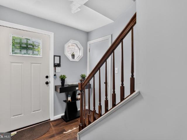 24 Hyacinth Lane
