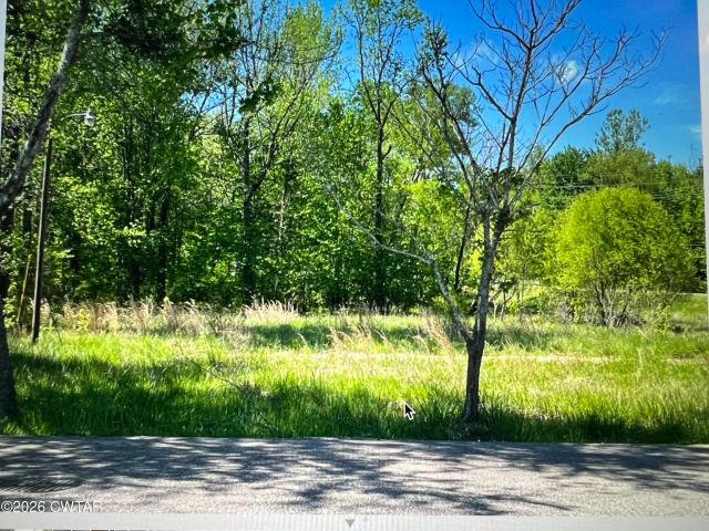 24 Jones Bend Rd, Paris, TN 38242 | MLS #2600