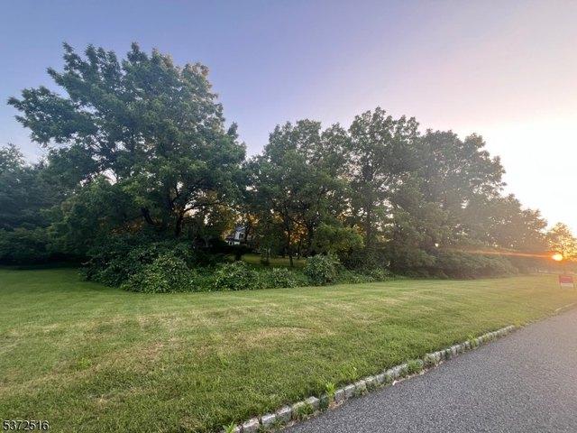 24 Liberty Corner Rd, Warren Twp, NJ 07059