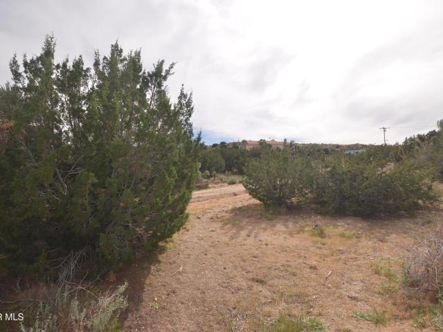 24 Longview Rd, Pearblossom, CA 93553 | MLS #26001