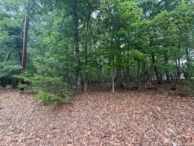 24 Lot Lee Drive