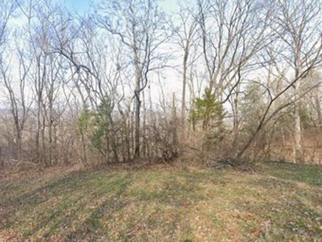 24 McClure Ter, Chattanooga, TN 37415