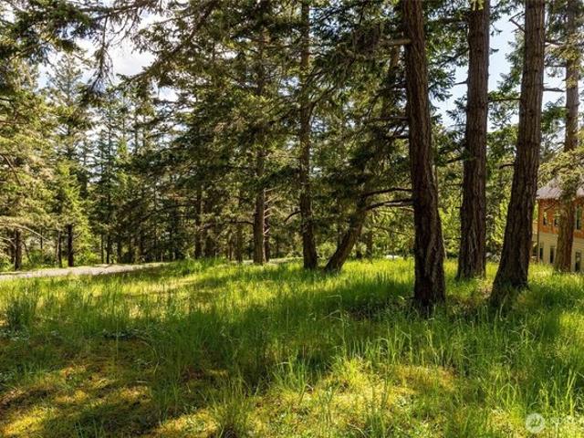 24 Mossyrock Rd Lot 24, Friday Harbor, WA 98250