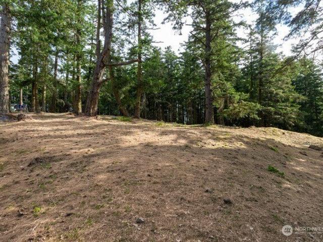 24 Mossyrock Rd Lot 24, Friday Harbor, WA 98250