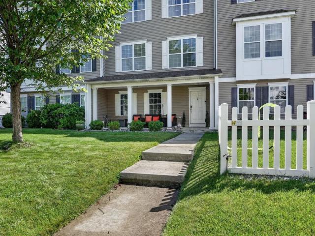24 Mountie Lane