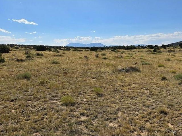 24 Rio Cucharas Phase 1, Walsenburg, CO 81089 | MLS #5732
