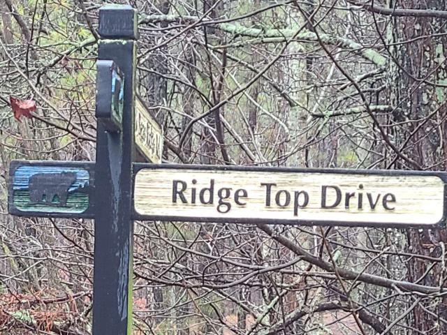 24 Ridge Top Dr, Ellijay, GA 30536 | MLS #323062