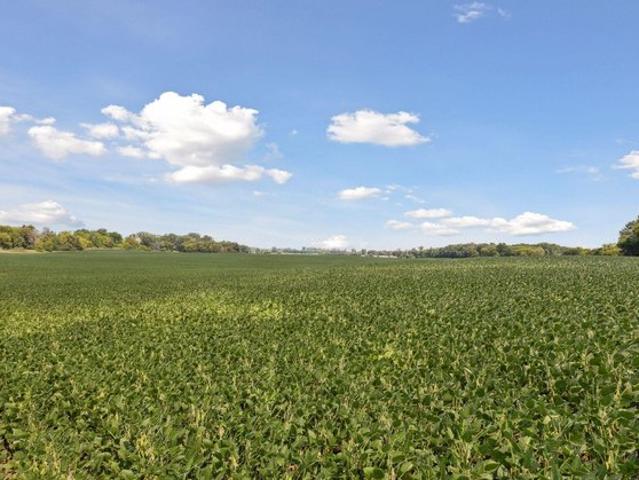 24X1 Holy Name Dr, Medina, MN 55340