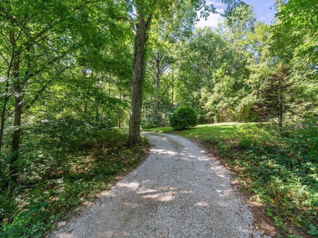 2504 Bearwallow Road