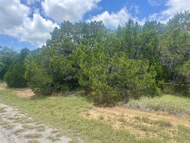 25058 Forrest Dr, Whitney, TX 76692
